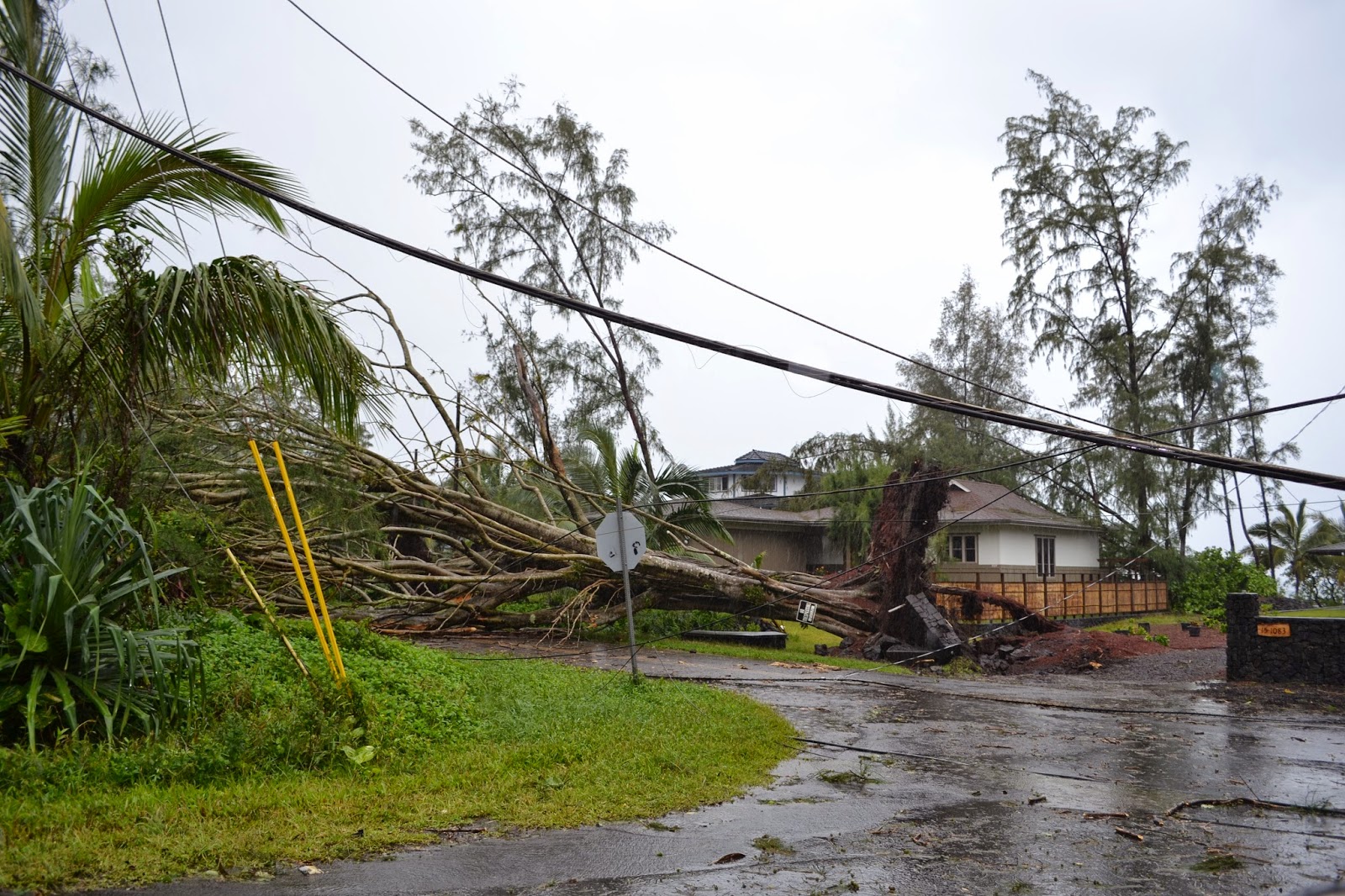 Family Travel Blog : In The Aftermath Of A Hurricane