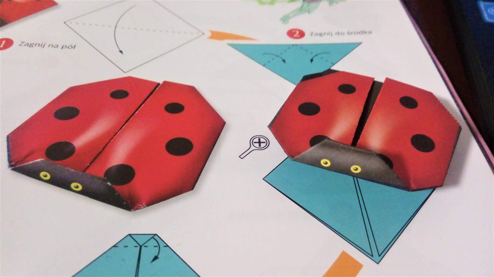 „Origami dla dzieci. Na łące", Wydawnictwo AWM – recenzja