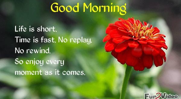 Good Morning Messages With Quotes