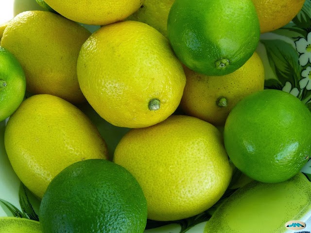 INSTITUTO DEL NUEVO SER INTEGRAL: 45 usos para los limones que dejará ...