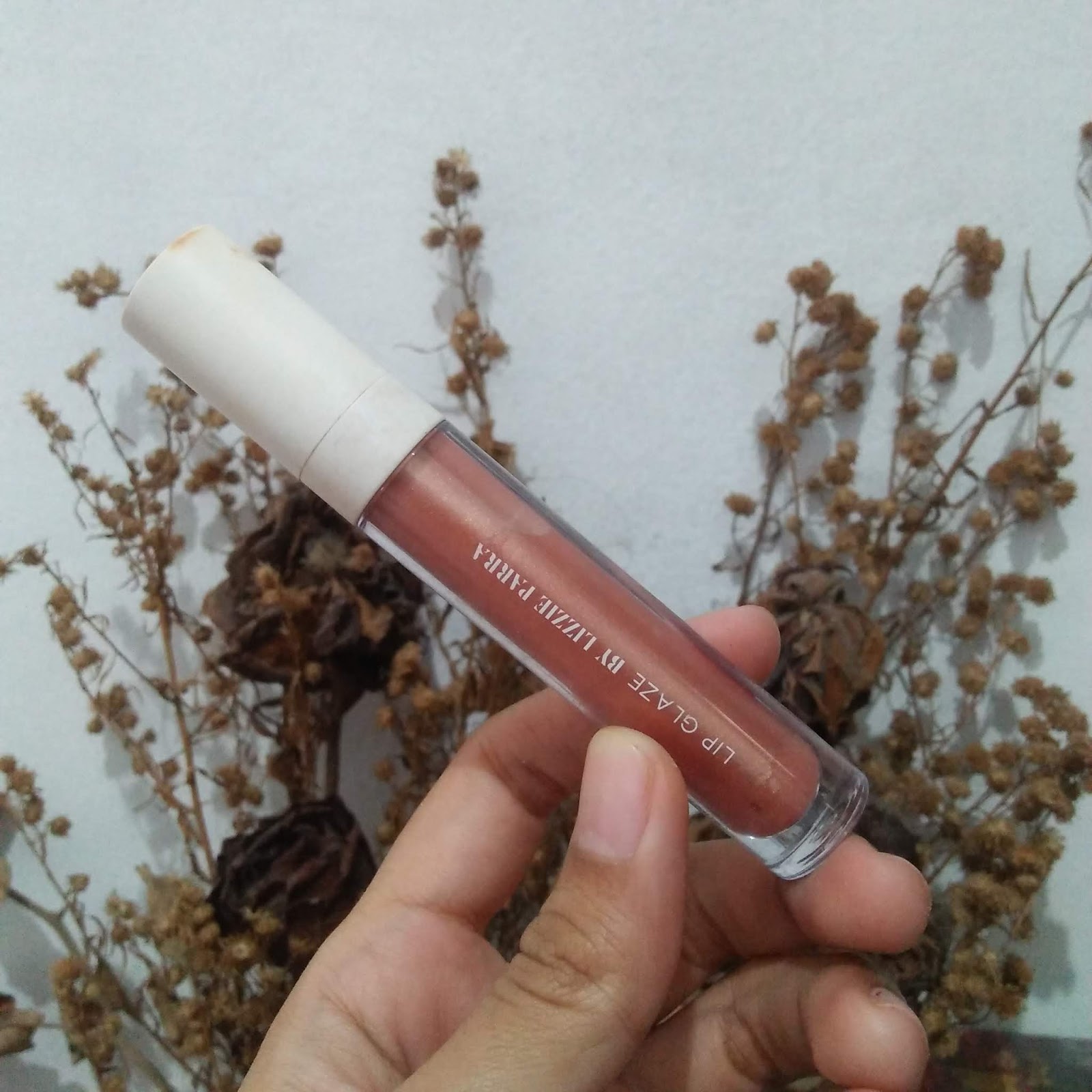 Beberapa Jenis Lip Produk dan Fungsinya - Fun Beauty Traveler
