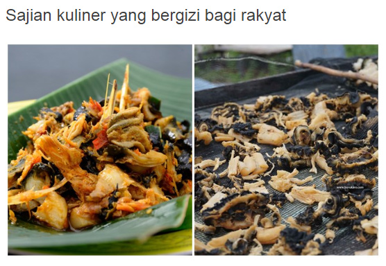 Mengenal Kerang Kima, Hewan Laut Super Langka yang Keberadaanya Membuat ...