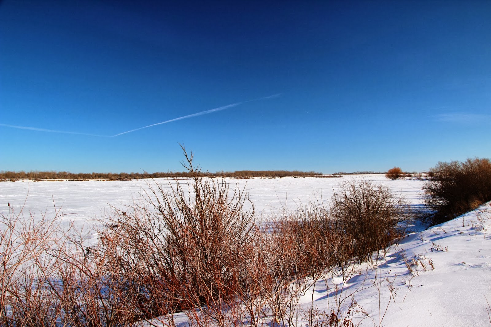 Get Me Outdoors: Condie Nature Refuge