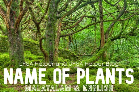 Name of Plants (Malayalam & English) - Kerala UPSA Helper (UPSAH)
