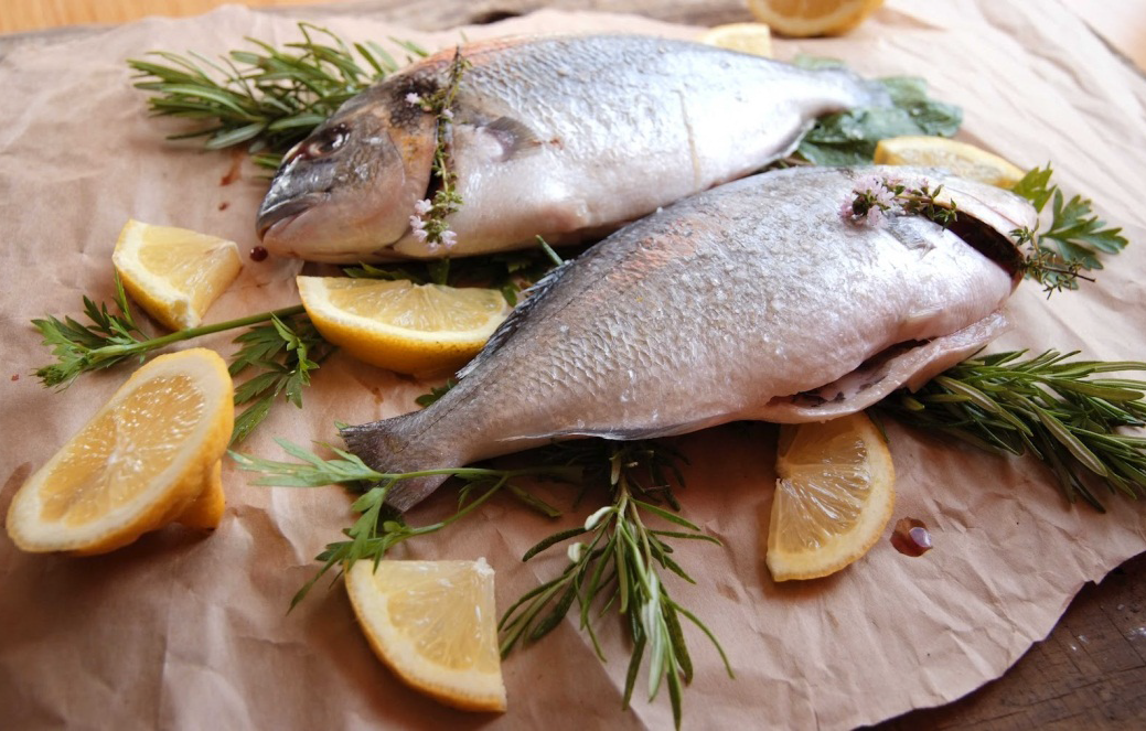 Culinária do peixe ~ Uma Questão De Alimentação