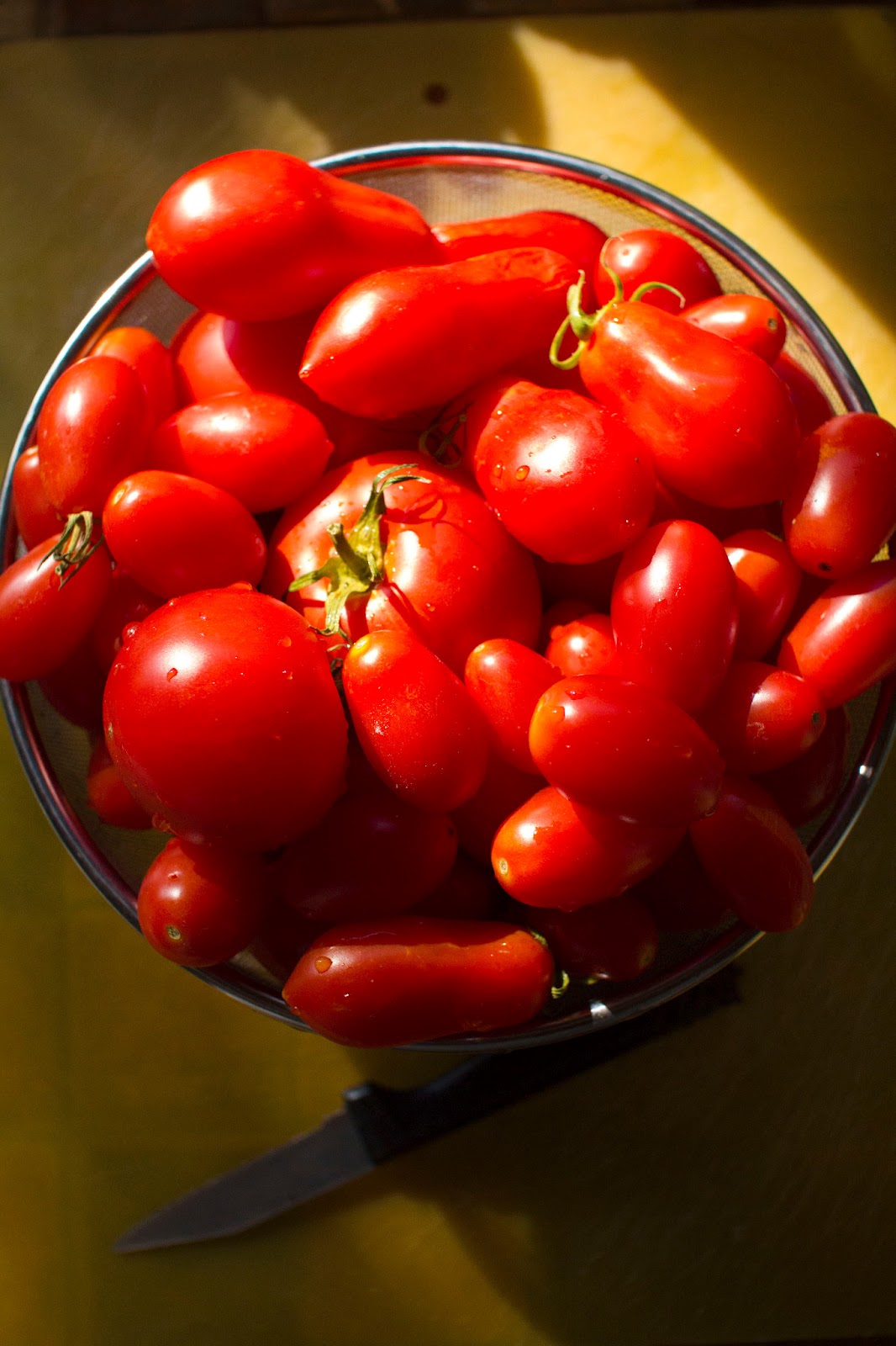 The Colors Of Indian Cooking: "Sun Dried" Tomatoes. Fun With The Dehydrator