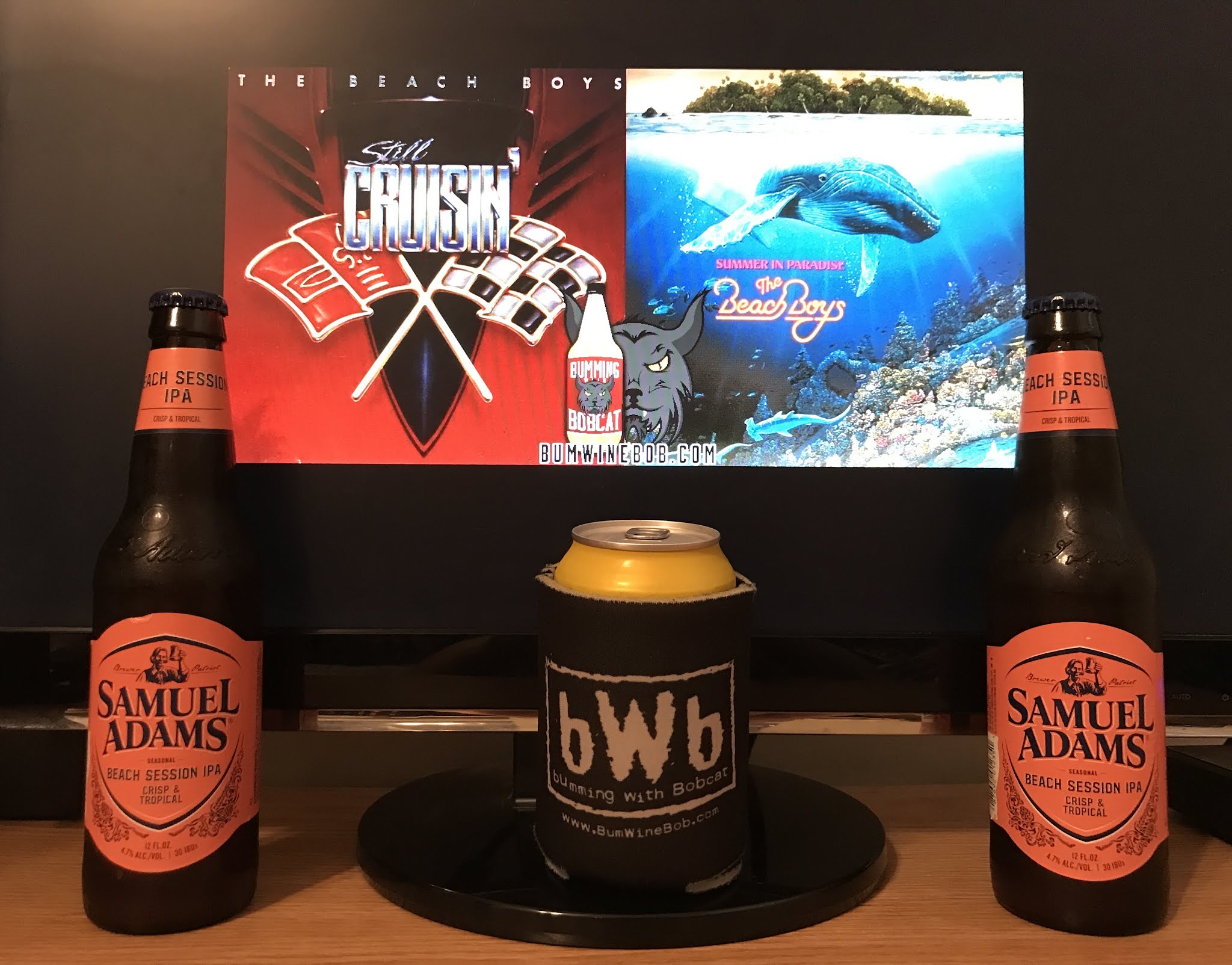 MD 20/20 Spiked Punch Cans: A 2/3 Review