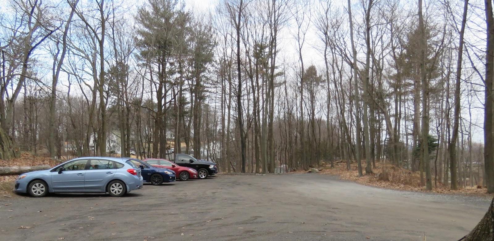 Gone Hikin': Ives Trail, CT - Tarrywile Park and Moses Mountain