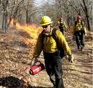 Pennsylvania Forest Fire Protection: 2020 PA-PAS Wildland Fire Program ...