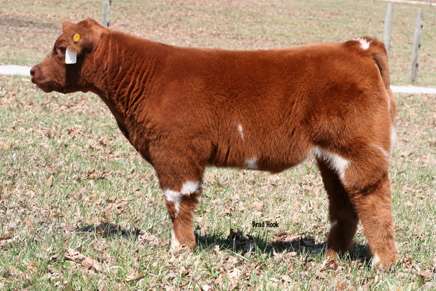 Lautner Farms: Bob Manning from Ohio sent us these Monopoly x Who Made ...