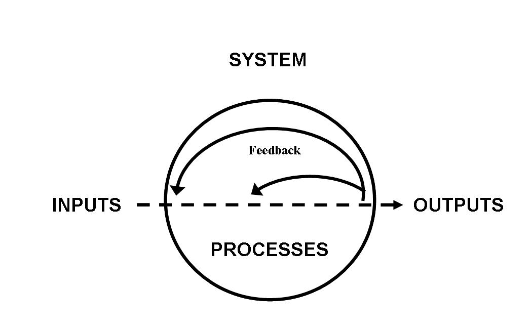 Natalia Levis-Fox and Fast Solutions: Your Intelligence: Systematic ...