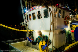Through the Gaps! - Newlyn Fishing News: Sardine man Dan braves out ...