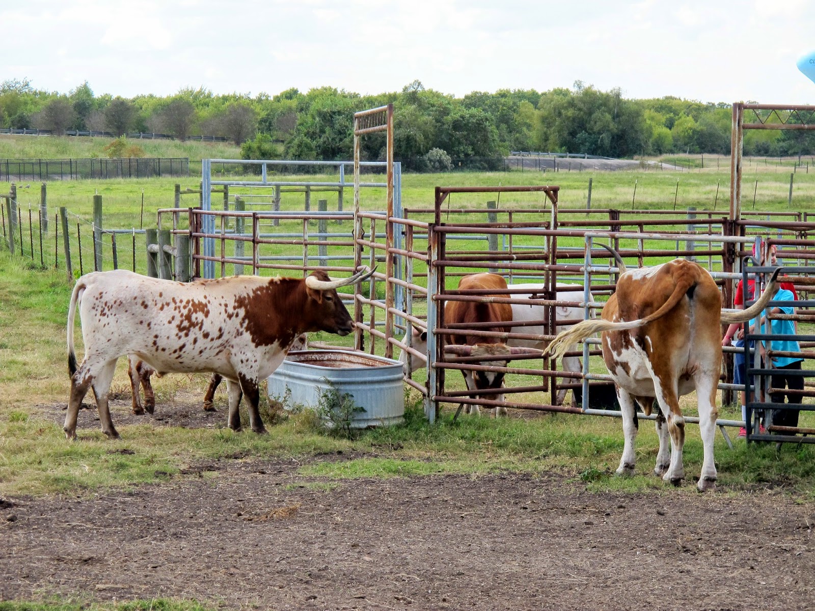 Come Quilt (Sue Garman): The Quilts and Houston - and more