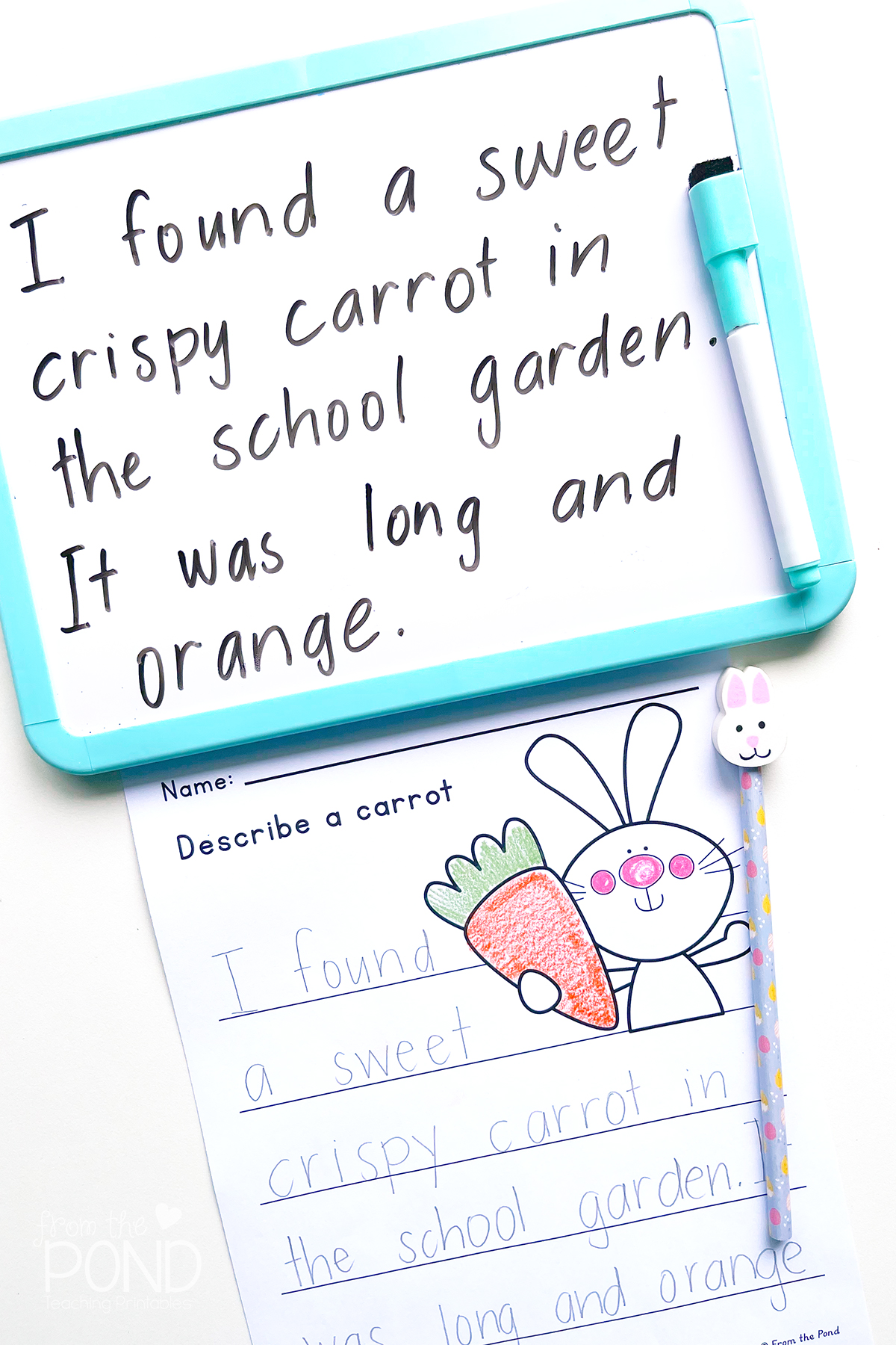 Adjective Mini Lessons | From the Pond