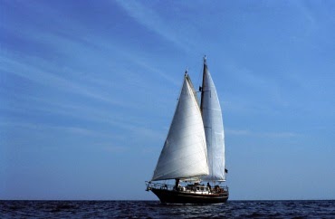 L'amour un thème qui fleuronne a travers les âges