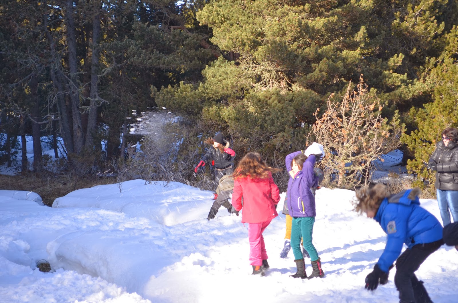 Ecole de Fitou: Départ en classe de neige.