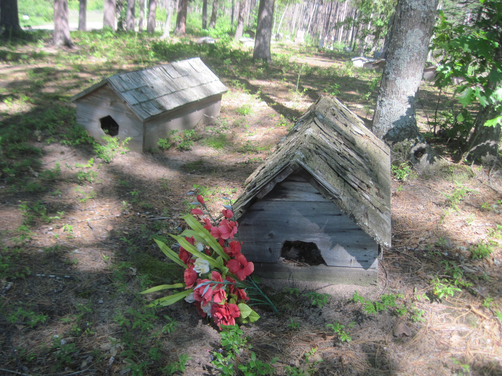 The Schramm Journey: Baraga County Attractions, Upper Peninsula