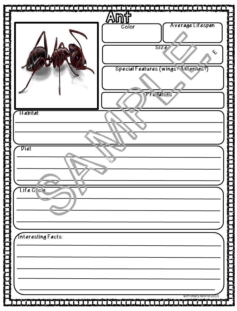 Primary World: Insect Crafts and Writing...Going Buggy!