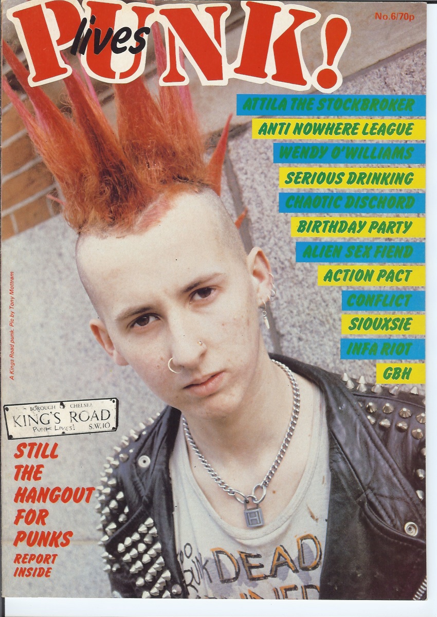 hardcore punk: PUNK! LIVES no.6 magazine