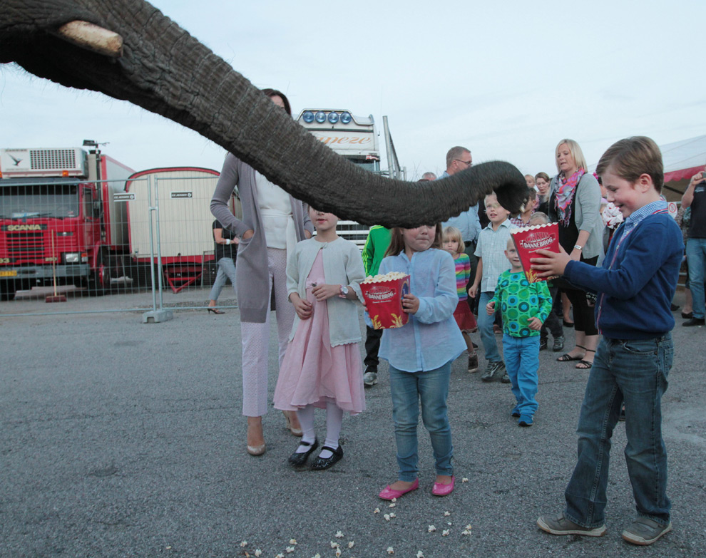 Princesses' lives: Mary at circus performance