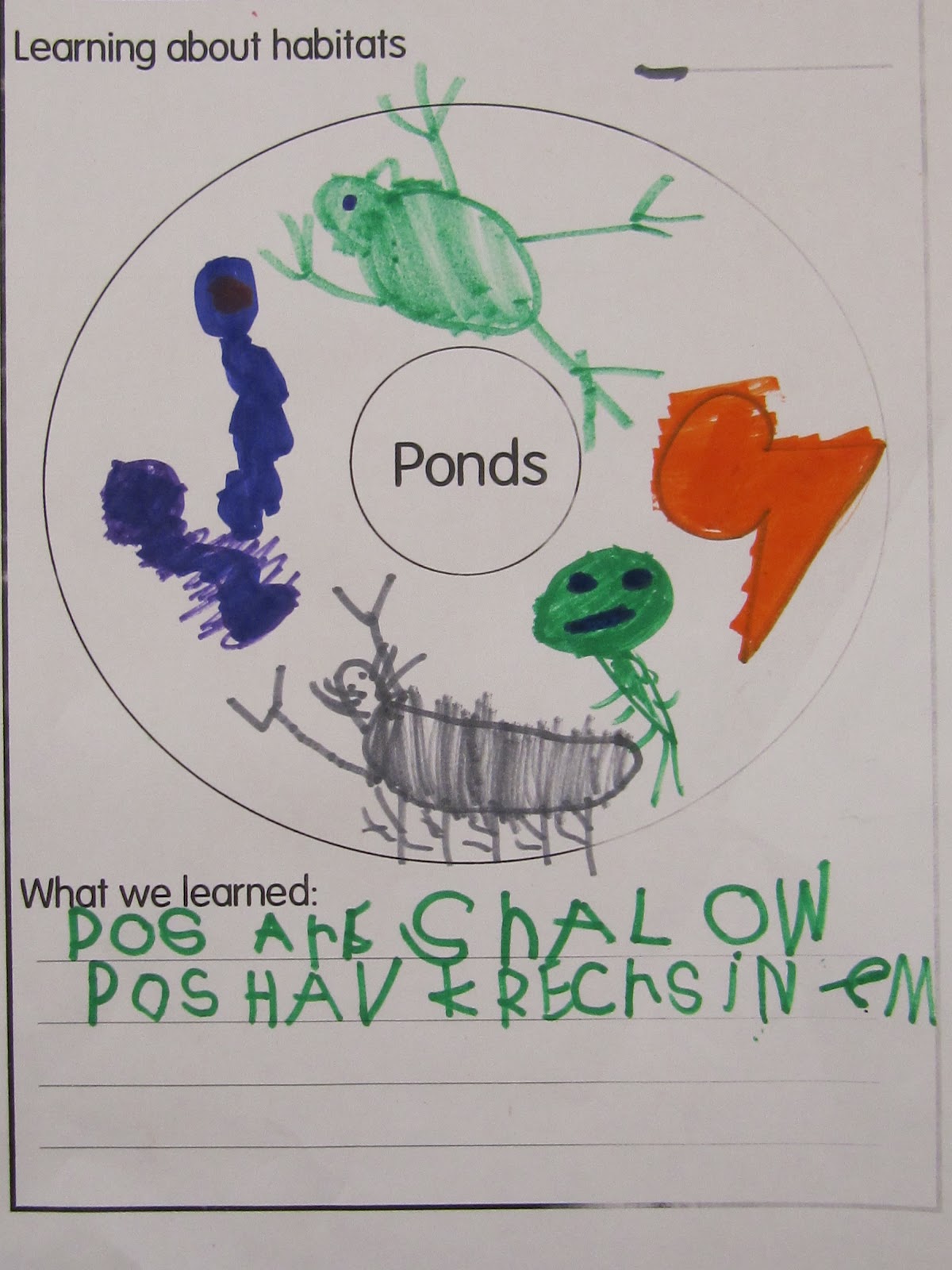 Joyful Learning In KC: In the Small Small Pond