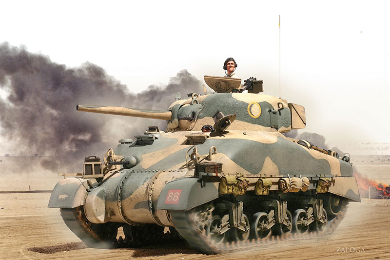 Shouting Into The Void: Wrestling With Shermans
