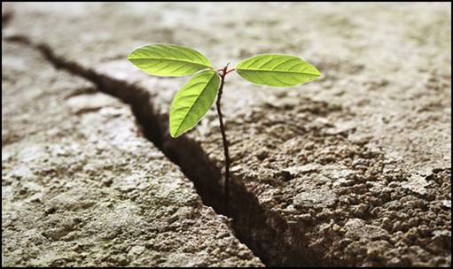 7 dicas infalíveis para você se tornar uma pessoa mais resiliente ...