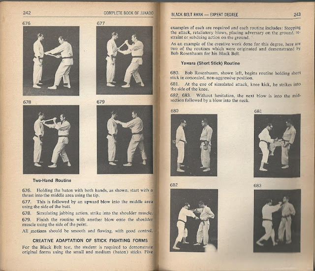 Isshin - Concentration the Art: Bruce Tegner Jukado