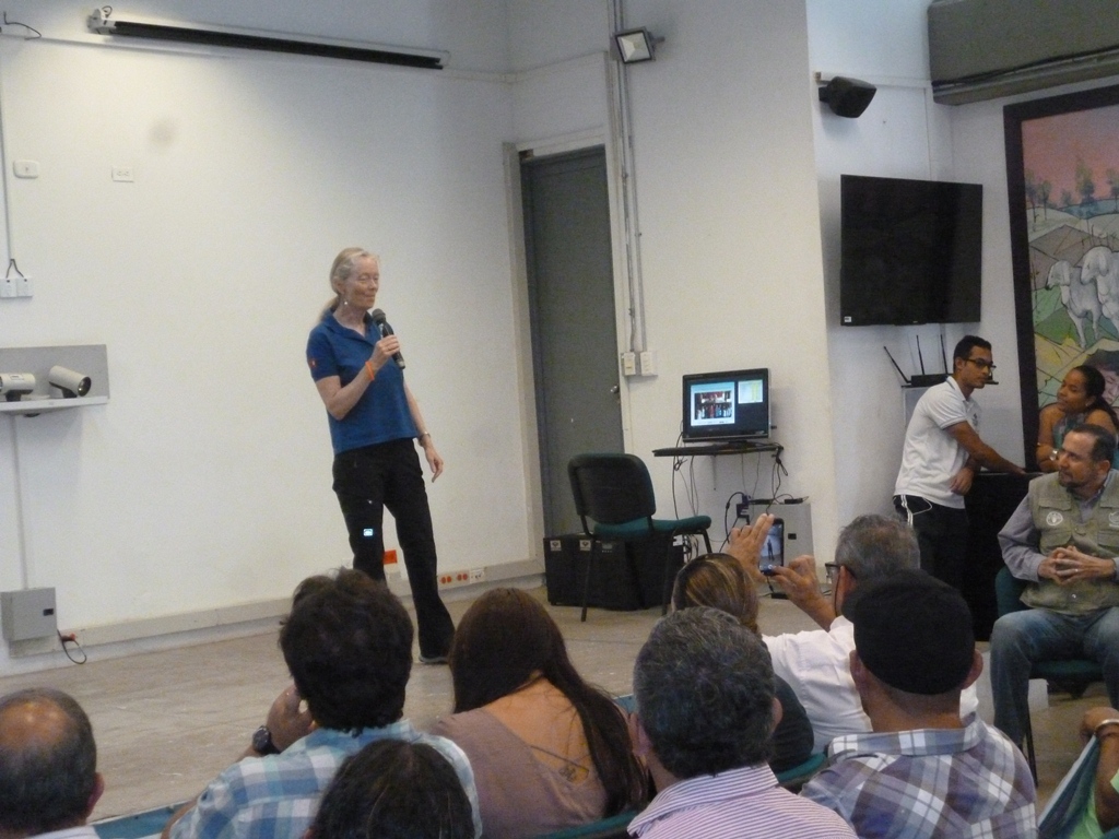 Noticias del Bajo Cauca Antioqueño