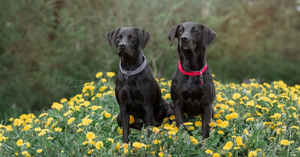 Photo Shoot med ASTA Photo