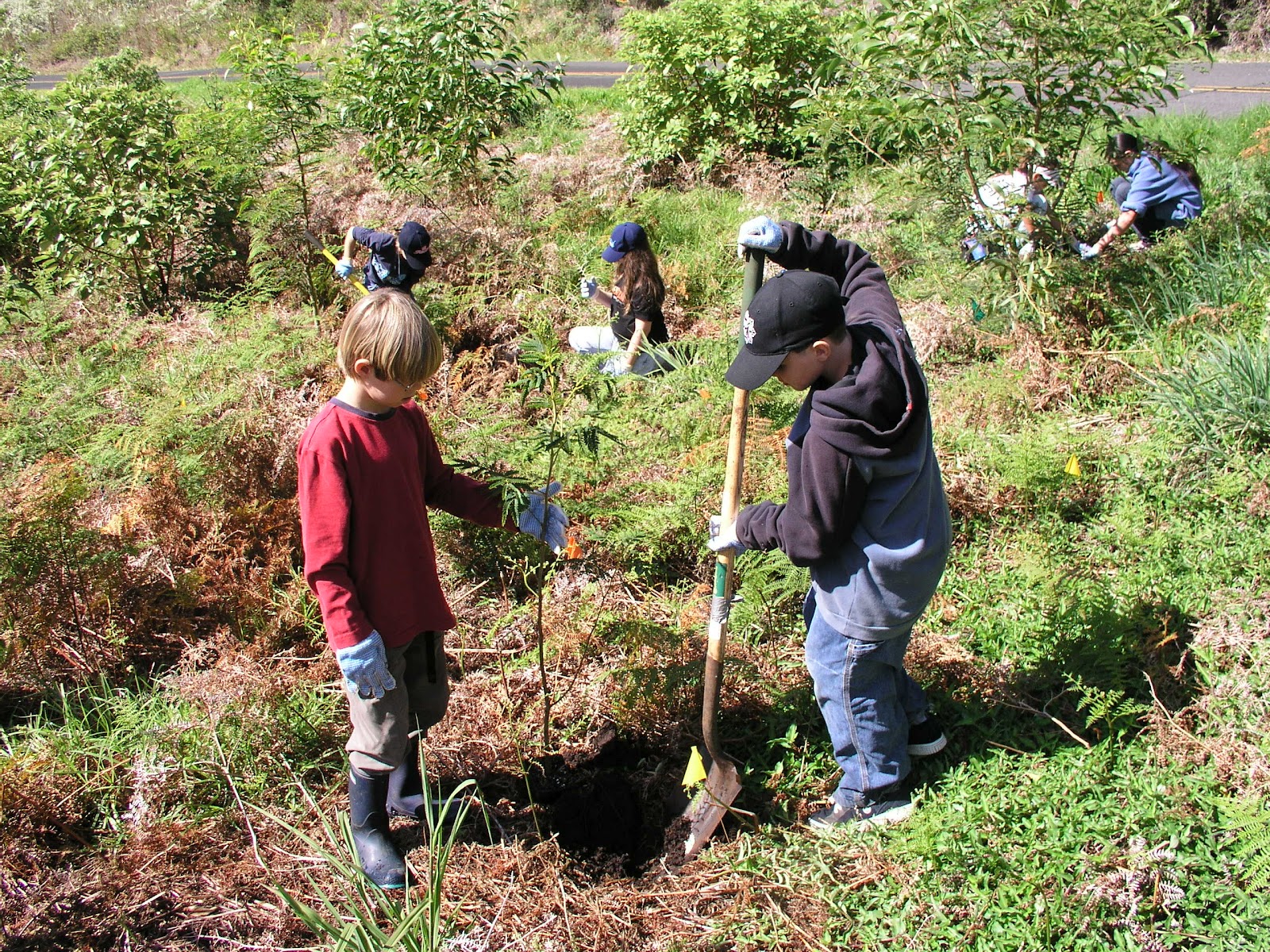 The Kaʻū Calendar News Briefs, Hawaiʻi Island: May 15, 2012