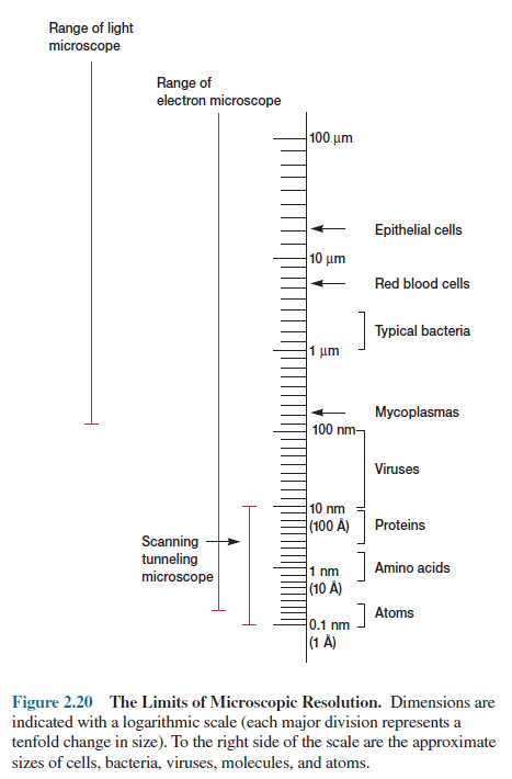 Microbiology Notes: The Study of Microbial Structure : Microscopy and ...