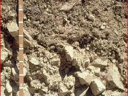 Pengertian Tanah Inceptisol Adalah : Karakteristik , Sifat, Kondisi ...