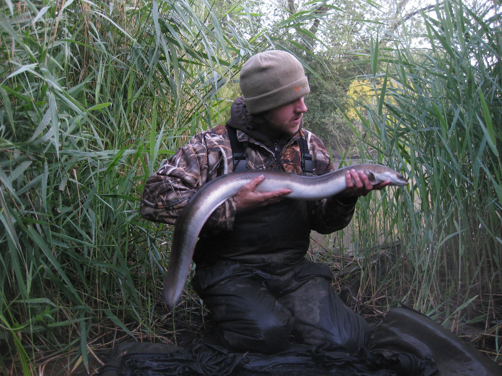 The Pike Pool: Snig Hunting