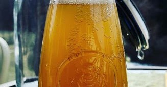 My Blissful Journey: Kombucha Journey, New-To-Me Vegan Amy's Kitchen Products, & Ms. Trinity