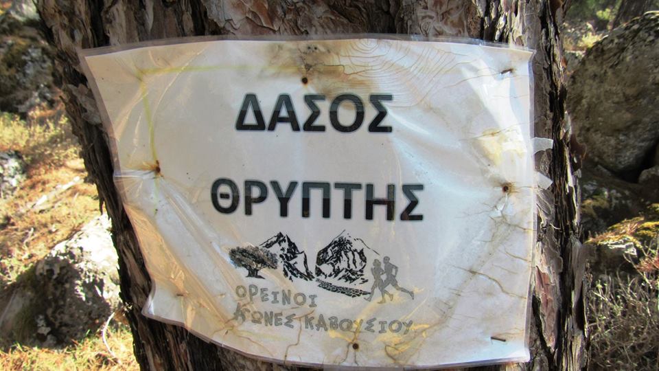 EXPLORE MOUNTAINS: ΠΕΖΟΠΟΡΙΑ ΣΤΟ ΔΑΣΟΣ ΤΗΣ ΘΡΥΠΤΗΣ
