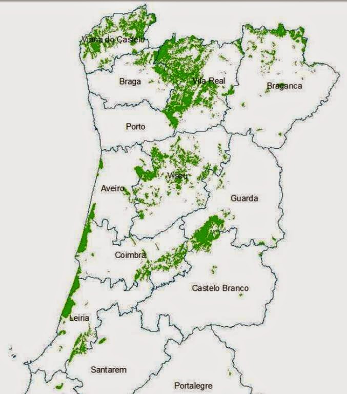 Nova lei dos baldios pode "comprar mais guerras sociais"