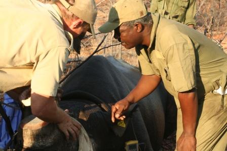 Hwange: Anti-poaching news
