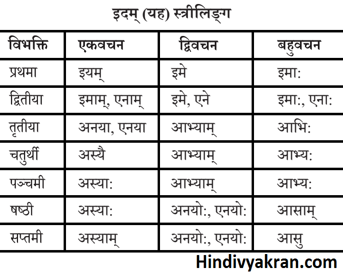 इदम् शब्द रूप स्त्रीलिंग संस्कृत में – Idam Shabd Roop Striling In ...