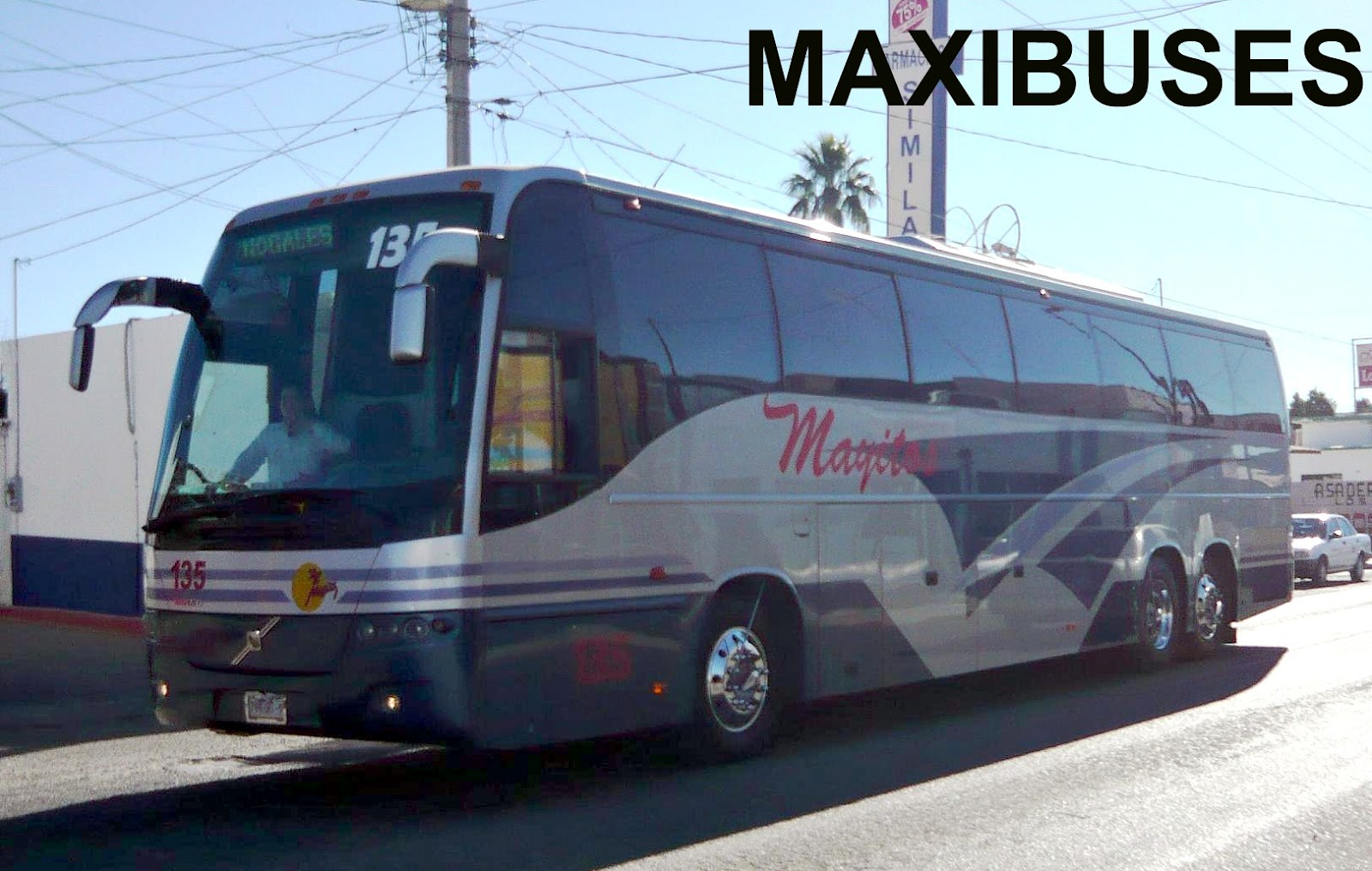 MAXIBUSES: AUTOBUSES LOS MAYITOS