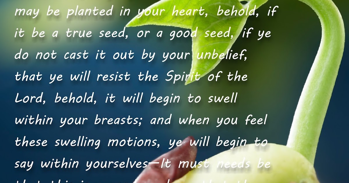 Teaching the Book of Mormon to Children: Scripture Mastery – Alma 32:28