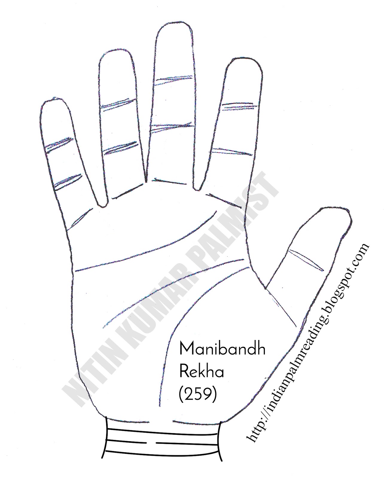 Description Of The Rascette Lines Indian Palmistry ~ INDIAN PALMISTRY ...