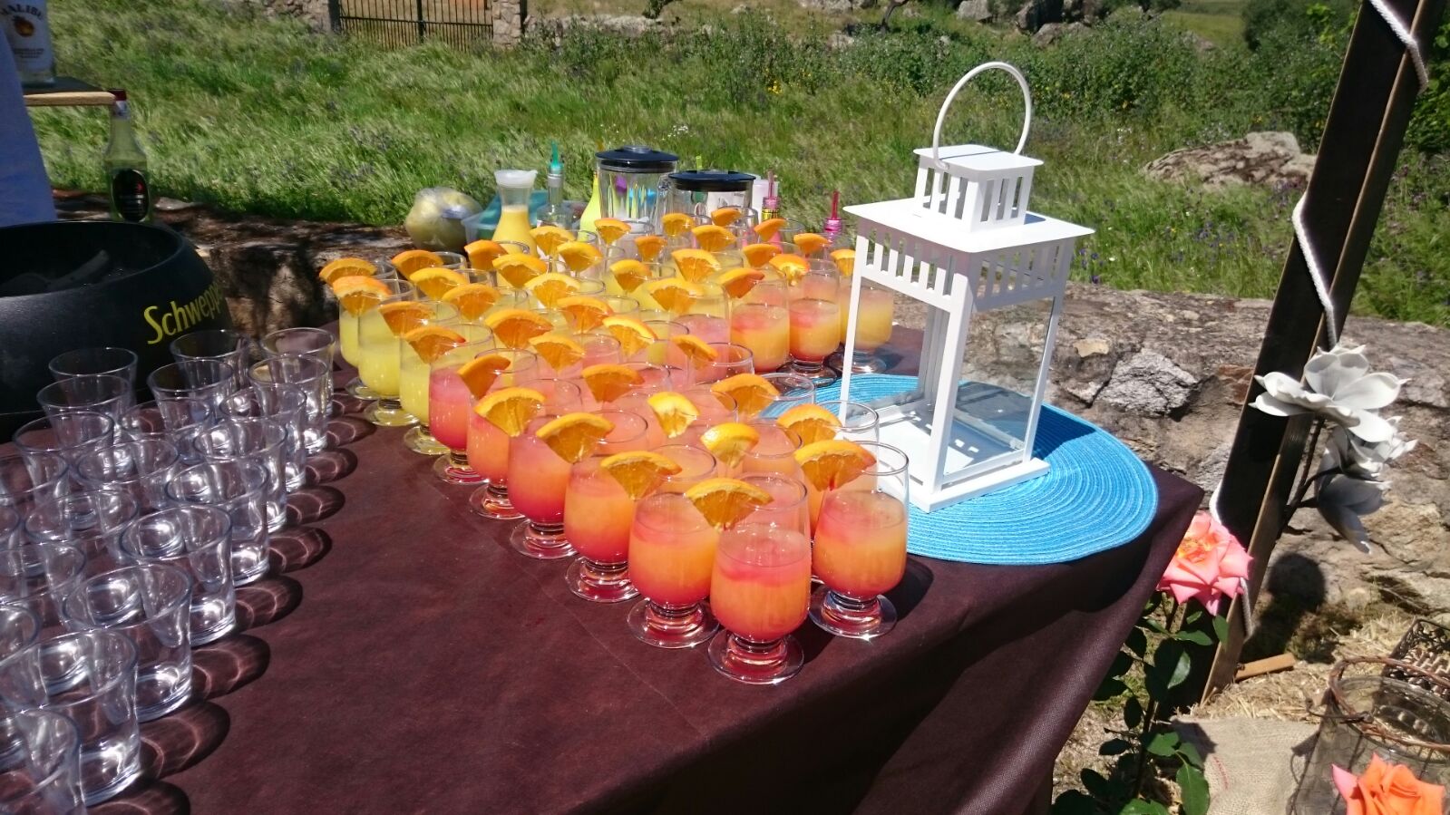 COCKTAILS & EVENTS: COCKTAIL DE BIENVENIDA