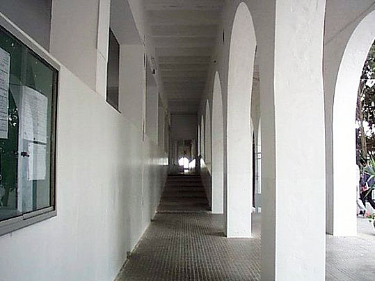 CULTURE et PATRIMOINE DE TUNISIE EN IMAGES- MOHAMED HAMDANE-ثقافة وتراث ...