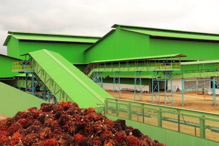 Gabon: OLAM tire le secteur agricole vers le haut - Africa Green Magazine