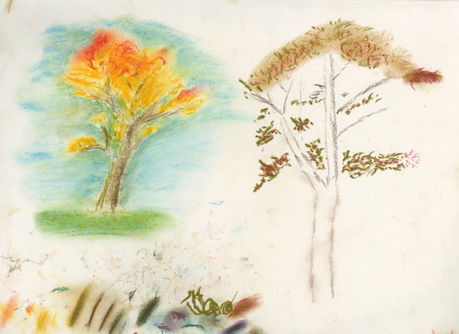 observational drawing (year 1) : week 5 landscape drawing