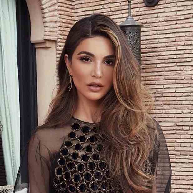 Negin Mirsalehi Wiki, Biography, Age, Husband, Facts and More