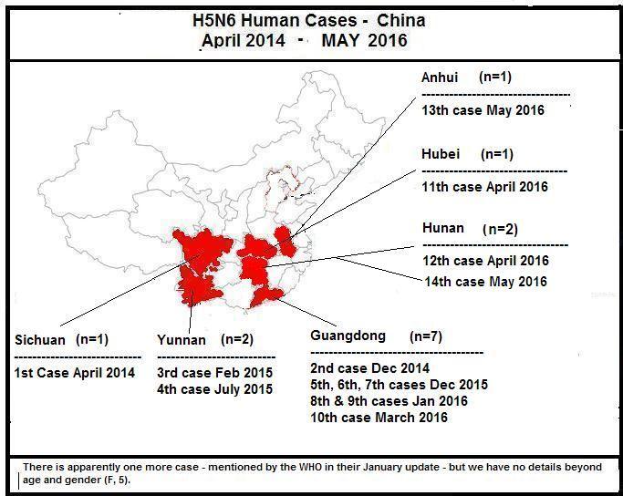 Avian Flu Diary: Nature: Origins and Evolution of HPAI H5N6