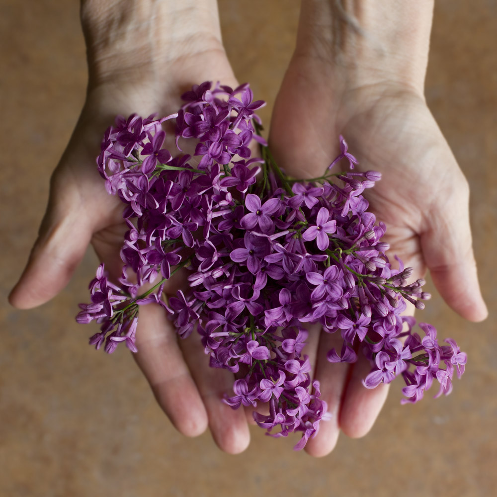 Illuminated Perfume: Full Flower Moon Enfleurage