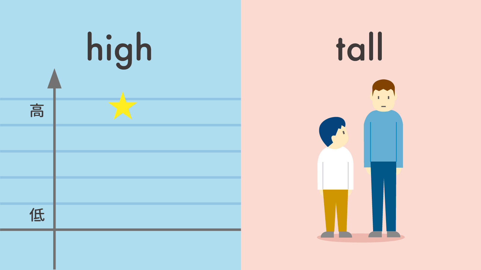 high と tall の違いとは？